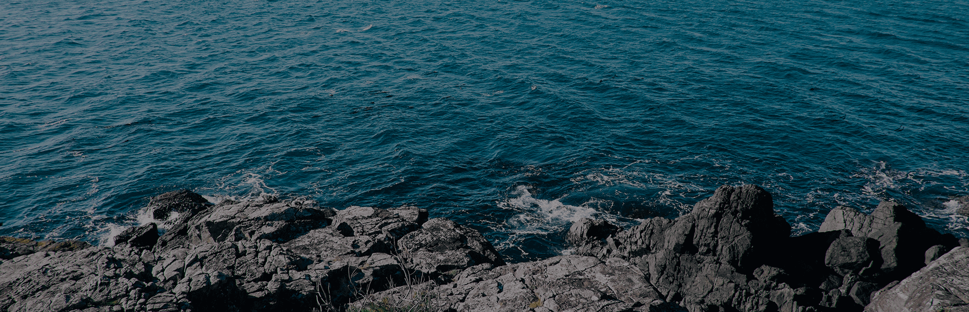 Slide02 - Plote Construction Inc.